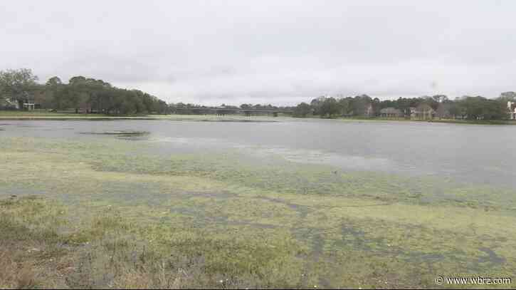 Another box checked off for LSU Lakes restoration project - Baton Rouge ...
