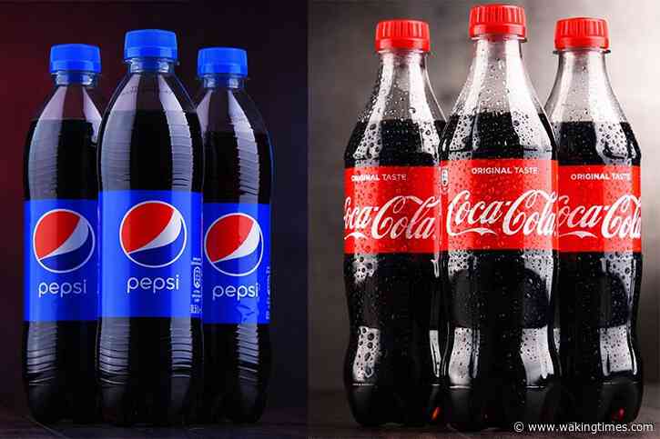 Coke and Pepsi Among Ten Companies Sued For Plastic Pollution ‘Nuisance ...