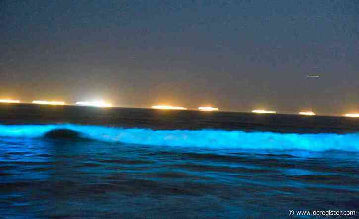 Rare bioluminescent, glowing waves show up off Huntington, Sunset and ...