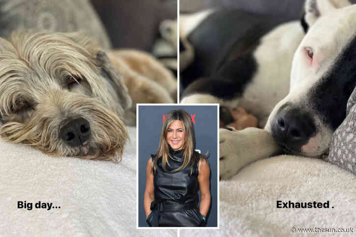 Jennifer Aniston gives fans a rare glimpse into her home as adorable ... Jennifer Aniston gives fans a rare glimpse into her home as adorable ...