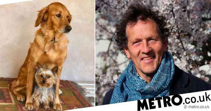 Gardeners’ World host Monty Don cosy country life with his dogs Nigel ...