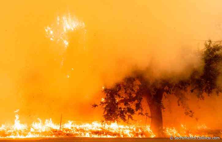 LNU Lightning Complex Fire: Solano County Evacuations Lifted As Blaze ...