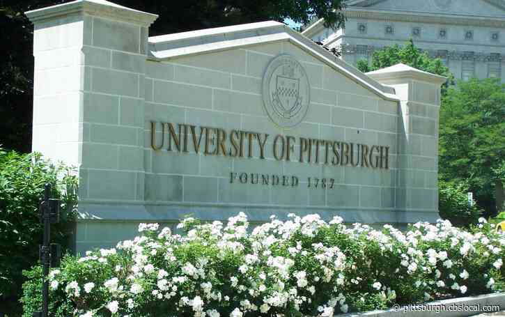 University Of Pittsburgh Fraternities And Sororities Suspended For ...
