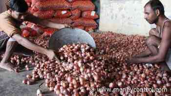 Infographic | This is why onion prices rise every year in India - Economy news - NewsLocker