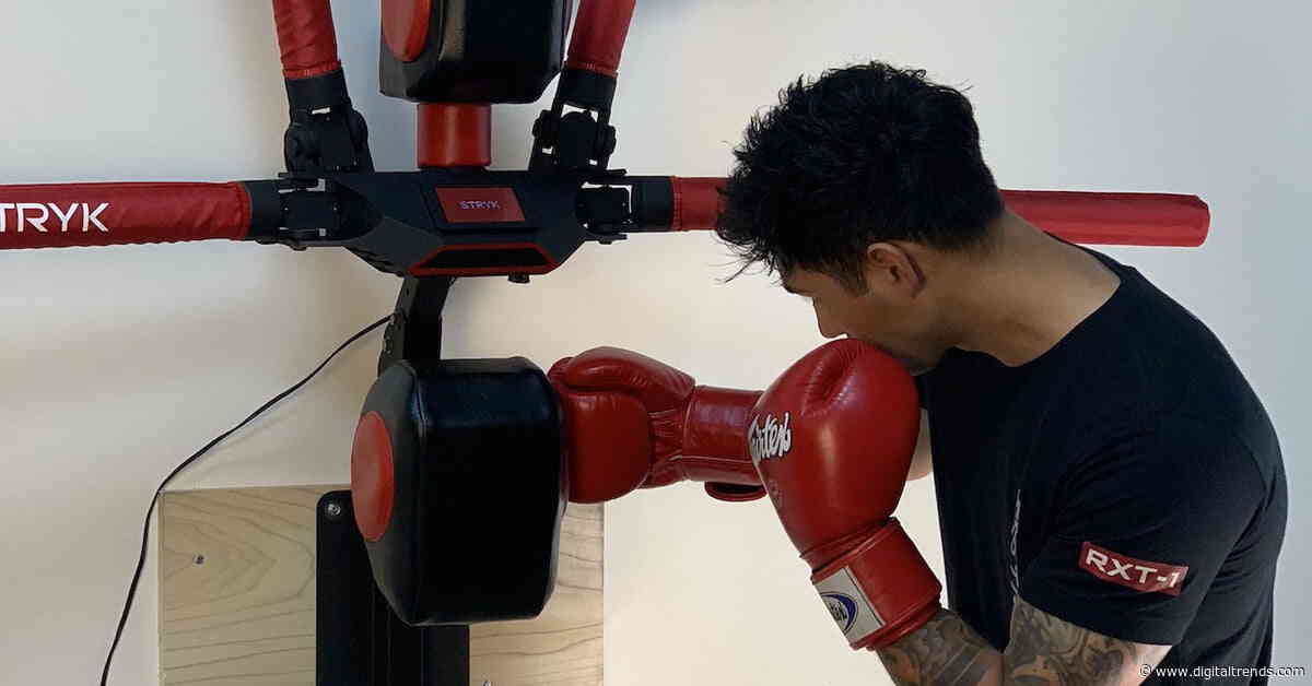 Meet RBX-1, the robot punching bag that punches back - Online trends ...