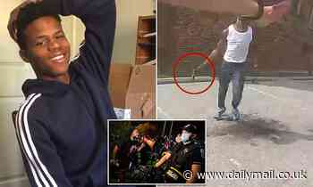 US Attorney will not pursue any charges against DC cop who shot dead 18 ...