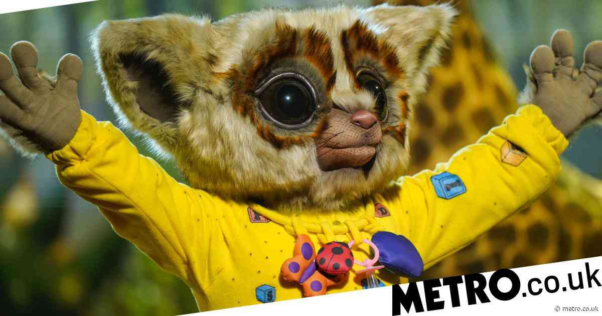 Who is Bush Baby on The Masked Singer? All the clues you need to know ...
