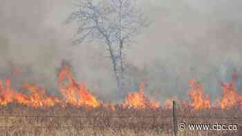 Carberry news - NewsLocker