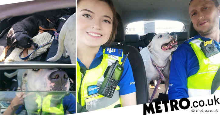 EastEnders actor Edna Doré dies aged 92 following battle with emphysema ...