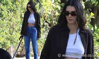Kendall Jenner takes her dog Pyro out for a walk around Beverly Hills ...