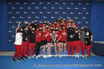 Mattice news - NewsLocker