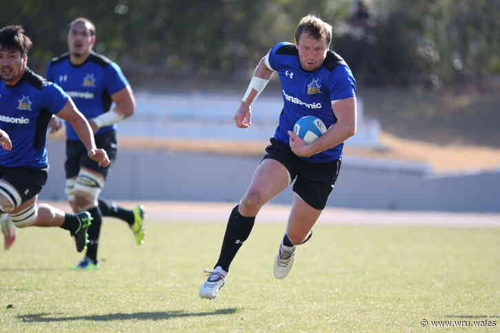 Scarlets unveil Darran Phillips as new chief executive - Welsh Rugby ...