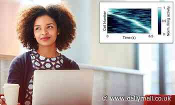 Neural pathways in the brain that enable 'mental time travel' through ...