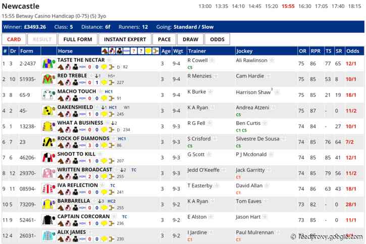 Annie Power fall saves bookies £50m Cheltenham Festival payout - Horse ...