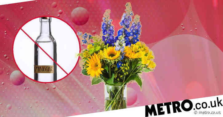 Bailiff cancer-suffering dad Delroy Anglin who reached fame on Can't ...