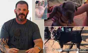 Ex-gangster wins legal battle to save two French Bulldogs from ...