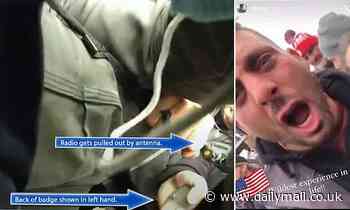 Accused Capitol rioters asks judge for permission to use social media ...