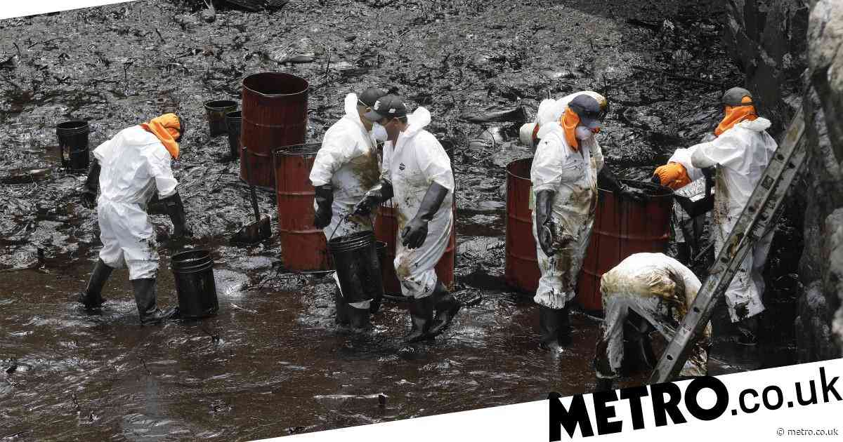Harrowing photos reveal ‘ecological disaster’ of oil spill caused by ...