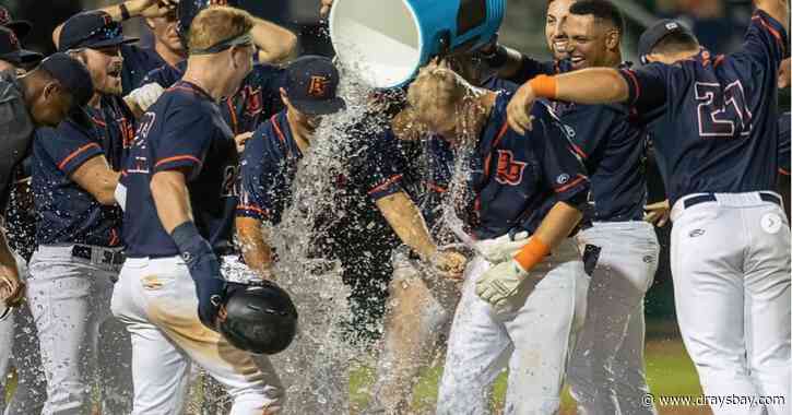 2022 Rays Minor League Depth Charts - Baseball - Tampa Bay Rays news ...