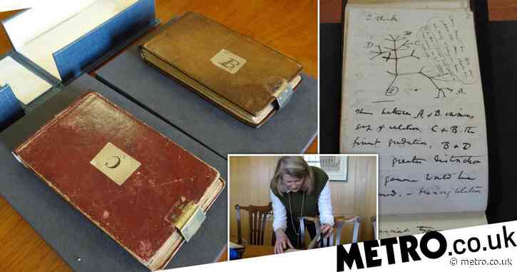 Charles Darwin notebooks worth millions mysteriously return after ...