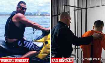 Gold Coast man Adrian Anthony Crematy asks magistrate to stay overnight ...