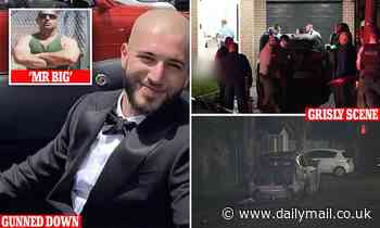 Rami Iskander shooting being investigated by new taskforce set up to ...