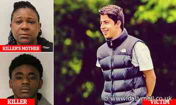 Hussein Al-Saabri: Mother of murdering teenager jailed for two years ...