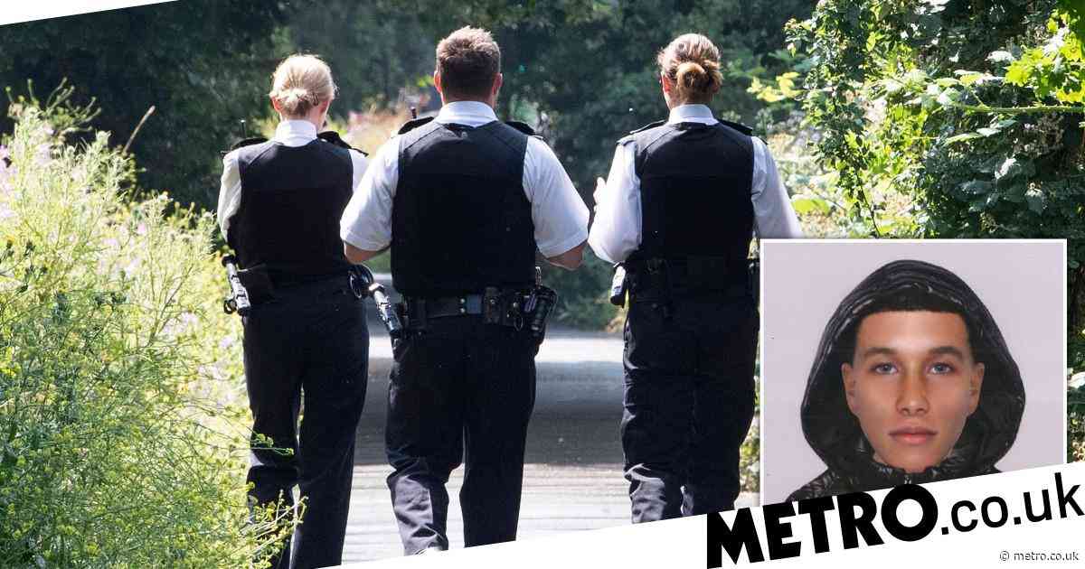 Three teenage boys arrested after string of sexual assaults in Hackney ...