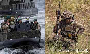 Royal Marines open up with heavy machine guns as they show off assault ...
