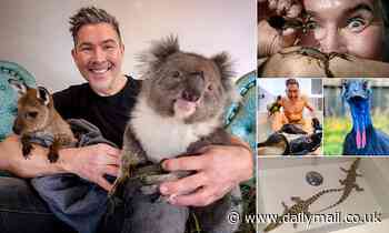 How zoologist Chris Humfrey lives with 2000 Australian animals - like ...
