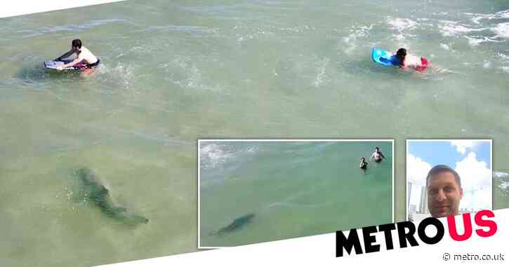 Moment massive 7-foot shark comes up on oblivious swimmers - UK news ...