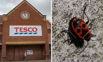 Tesco faces backlash selling non-vegan FRUIT with wax that contains ...