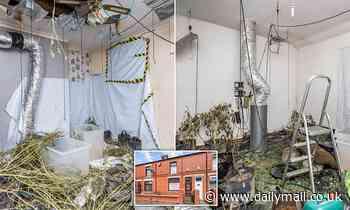 Two-bed home is nicknamed the 'pot house' after £80,000 auction ad ...